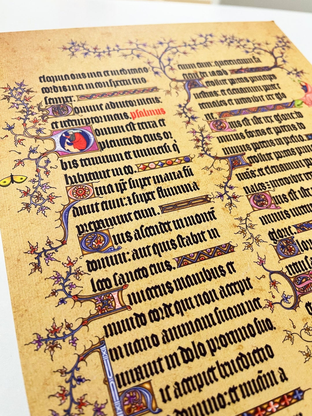 Hand Drawn Medieval Illuminated Manuscript Art Print A4 Size - Etsy