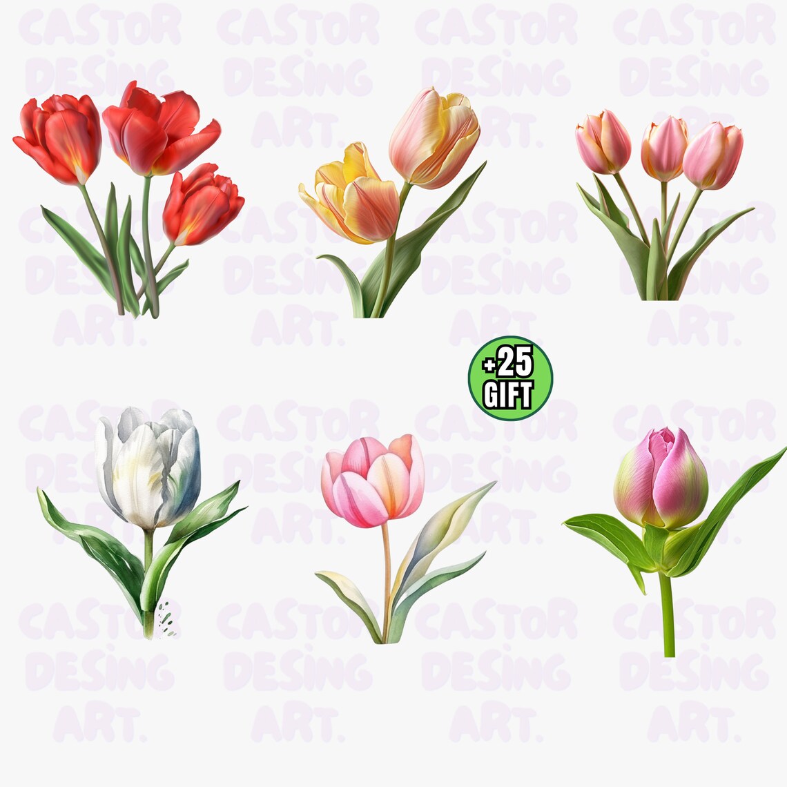 Tulip Clipart Watercolor Tulip PNG Floral PNG Summer - Etsy