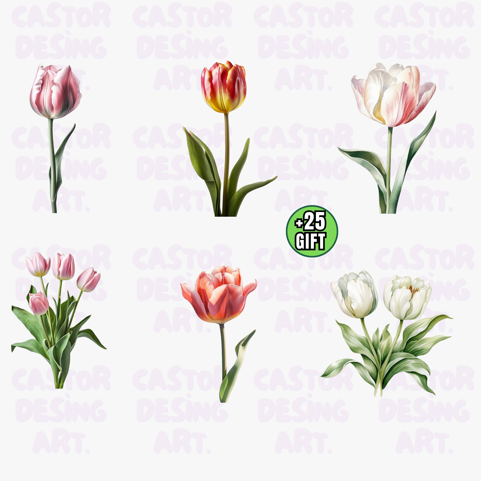 Tulip Clipart Watercolor Tulip PNG Floral PNG Summer - Etsy