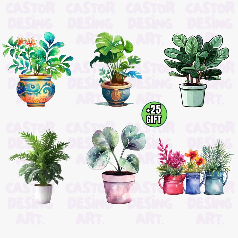 Colorful House Plants Potted Clipart House Plant PNG - Etsy