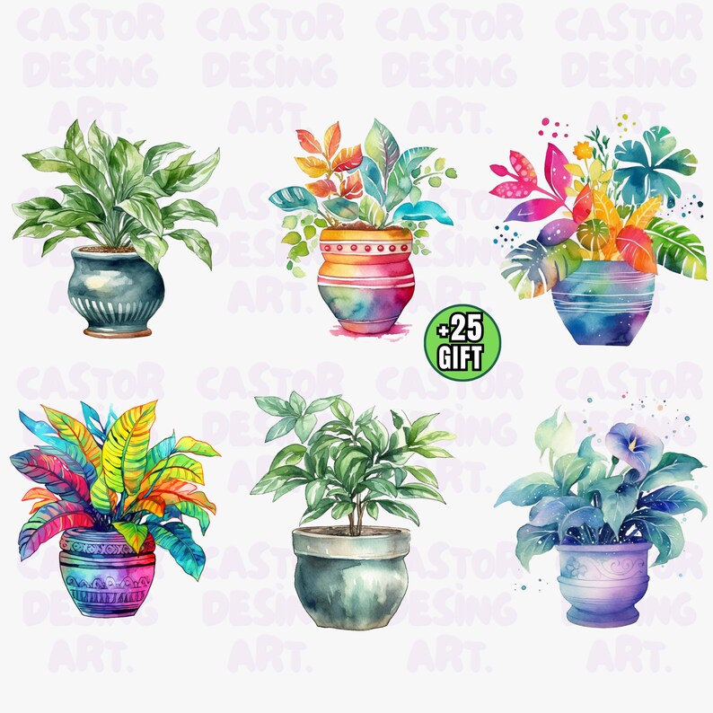 Colorful House Plants Potted Clipart House Plant PNG - Etsy
