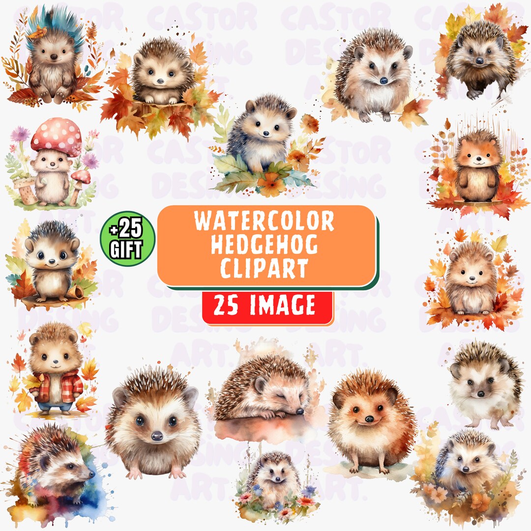 Watercolor Hedgehog Clipart, Floral Hedgehog Clipart, Spring Hedgehog ...