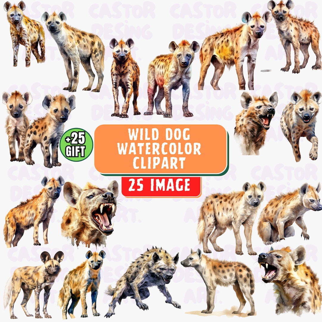 Watercolor Hyena Clipart, Savannah Clipart, Watercolor Hyena Png ...