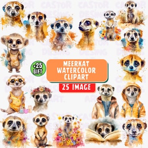 Watercolor Meerkat Clipart Bundle, Clipart Cute Meerkat Family, Baby ...