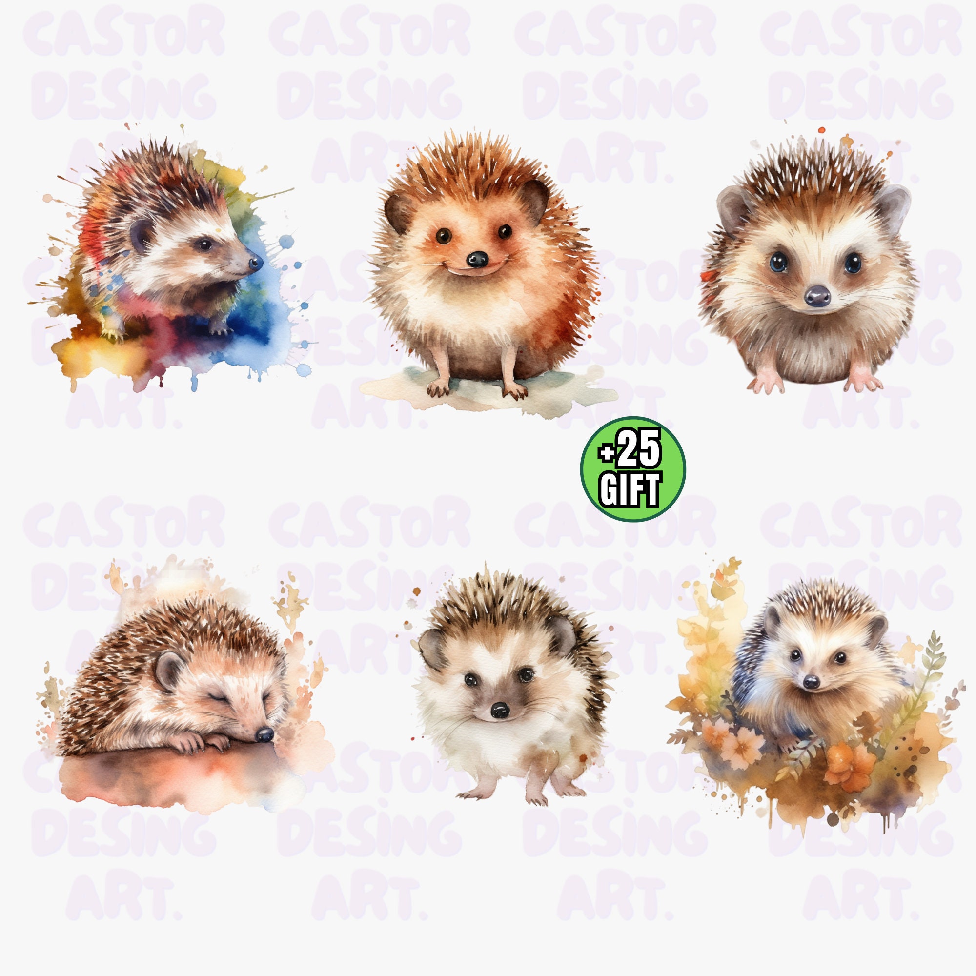 Watercolor Hedgehog Clipart Floral Hedgehog Clipart Spring - Etsy
