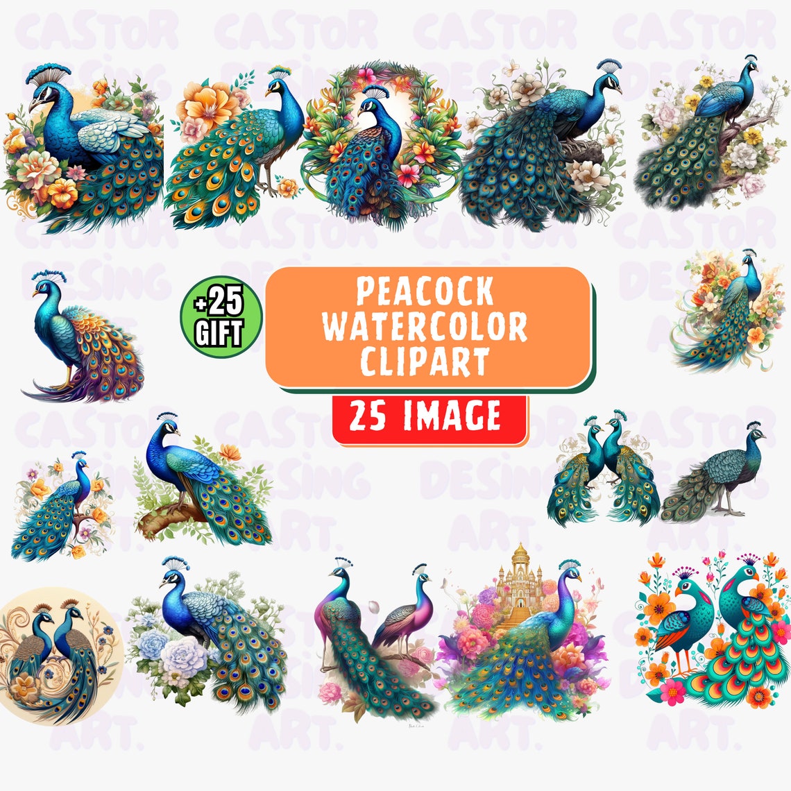 Peacocks Watercolor Clipart Bundle, Majestic Bird Graphics, Majestic ...