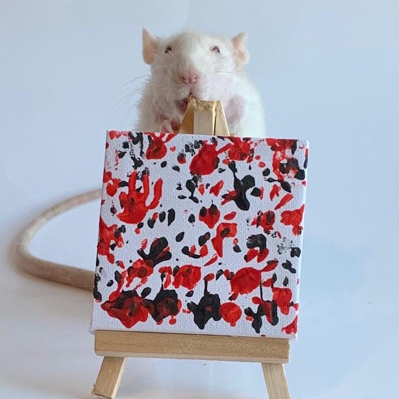 Cute Rat - Etsy