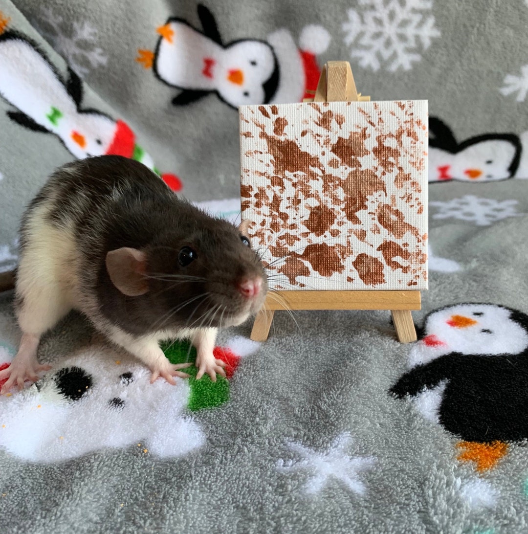 Rat Painting Pet Rat Painting Rat Pet Painting Rats That Can Paint ...