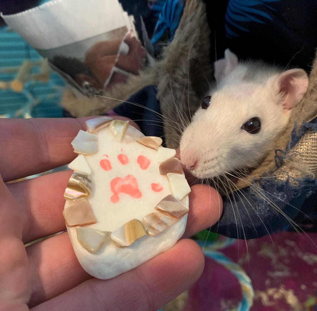Rat Pawprint Custom Stone - Etsy