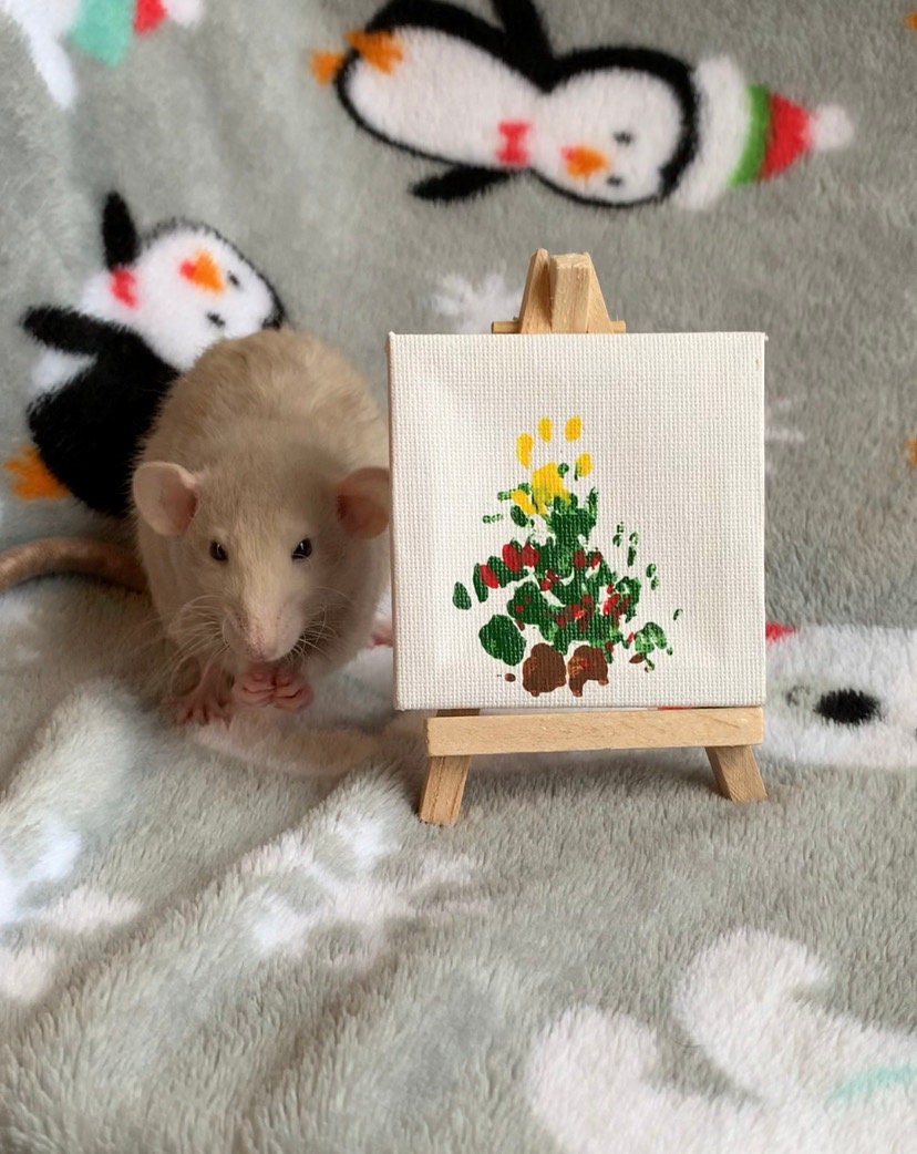 Rat Paintings Rats That Paint Animal Art Rat Painting Rat Art Rat Gift ...