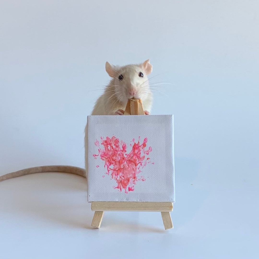 Heart Rat Painting Pet Rat Painting Rat Pet Painting Valentines Day ...