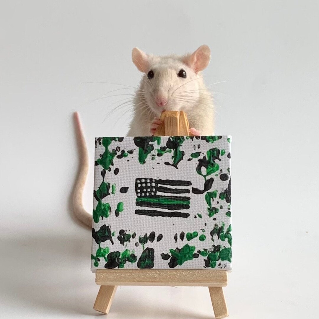 Thin Green Line Flag Military Gifts Veteran Gifts Rat Painting Rat ...