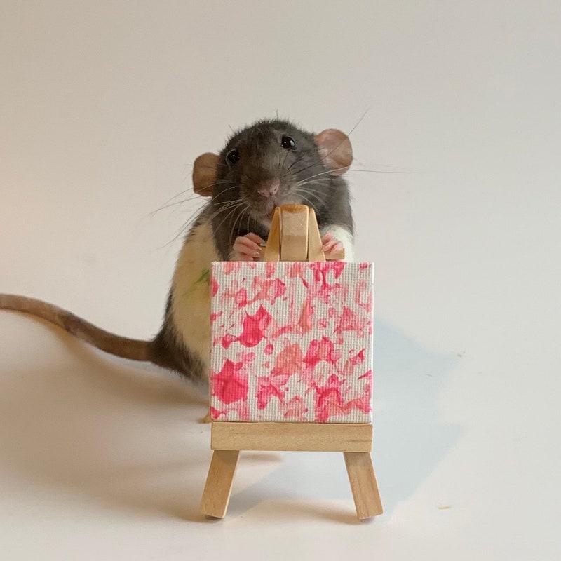 Rat Painting - Etsy