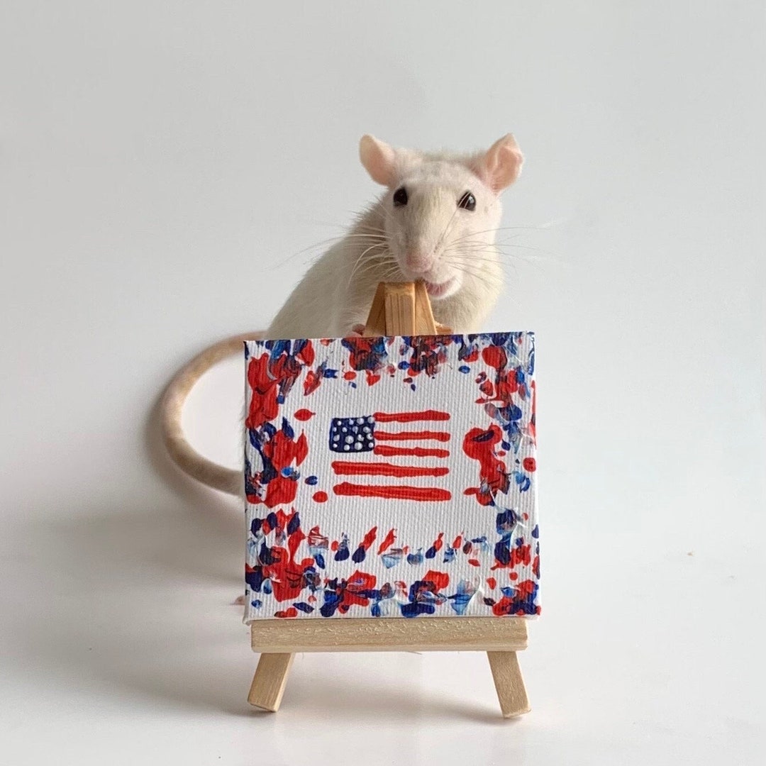 American Flag Rat Painting Fourth of July 4th of July Rat Pet Painting ...