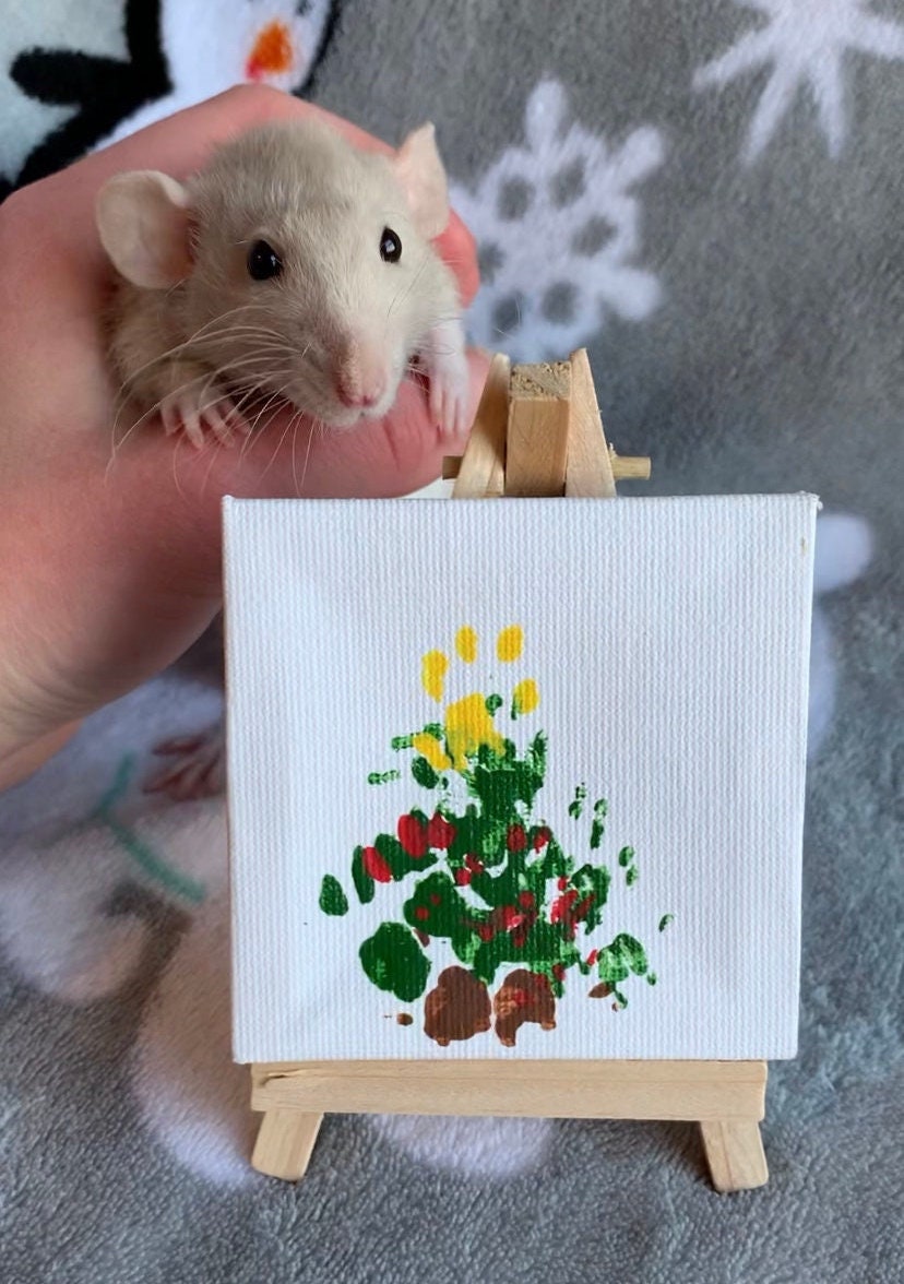 Rat Paintings Rats That Paint Animal Art Rat Painting Rat Art Rat Gift ...