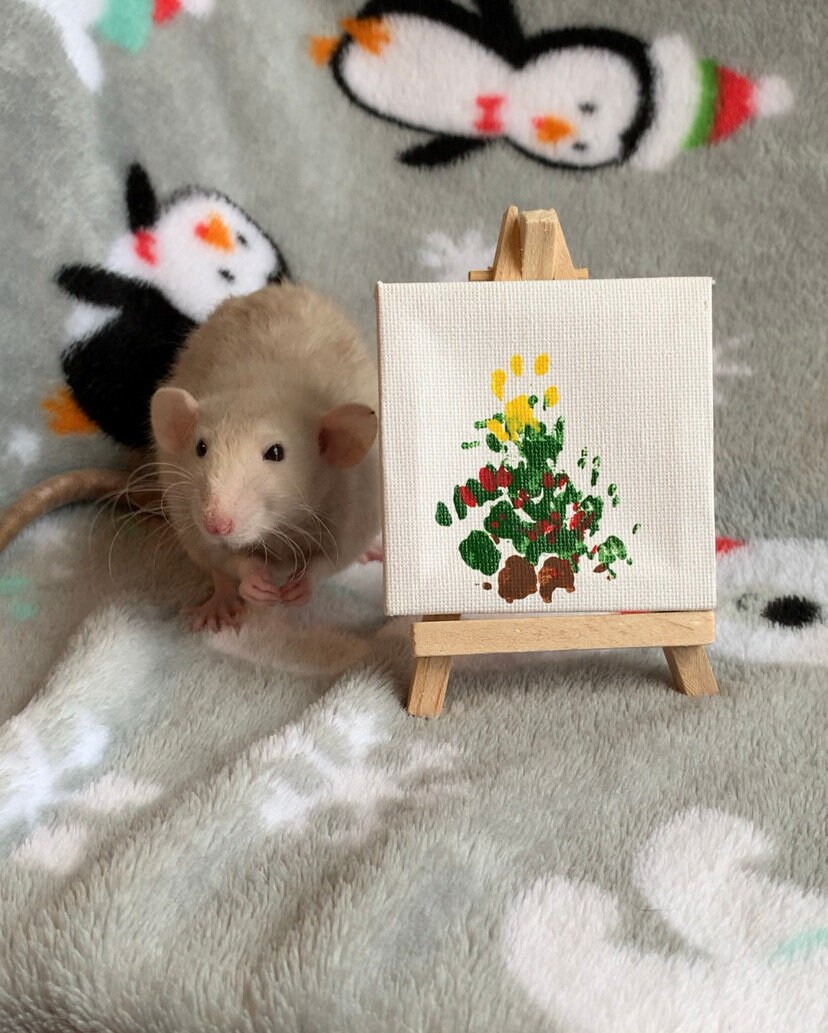 Rat Paintings Rats That Paint Animal Art Rat Painting Rat Art Rat Gift ...