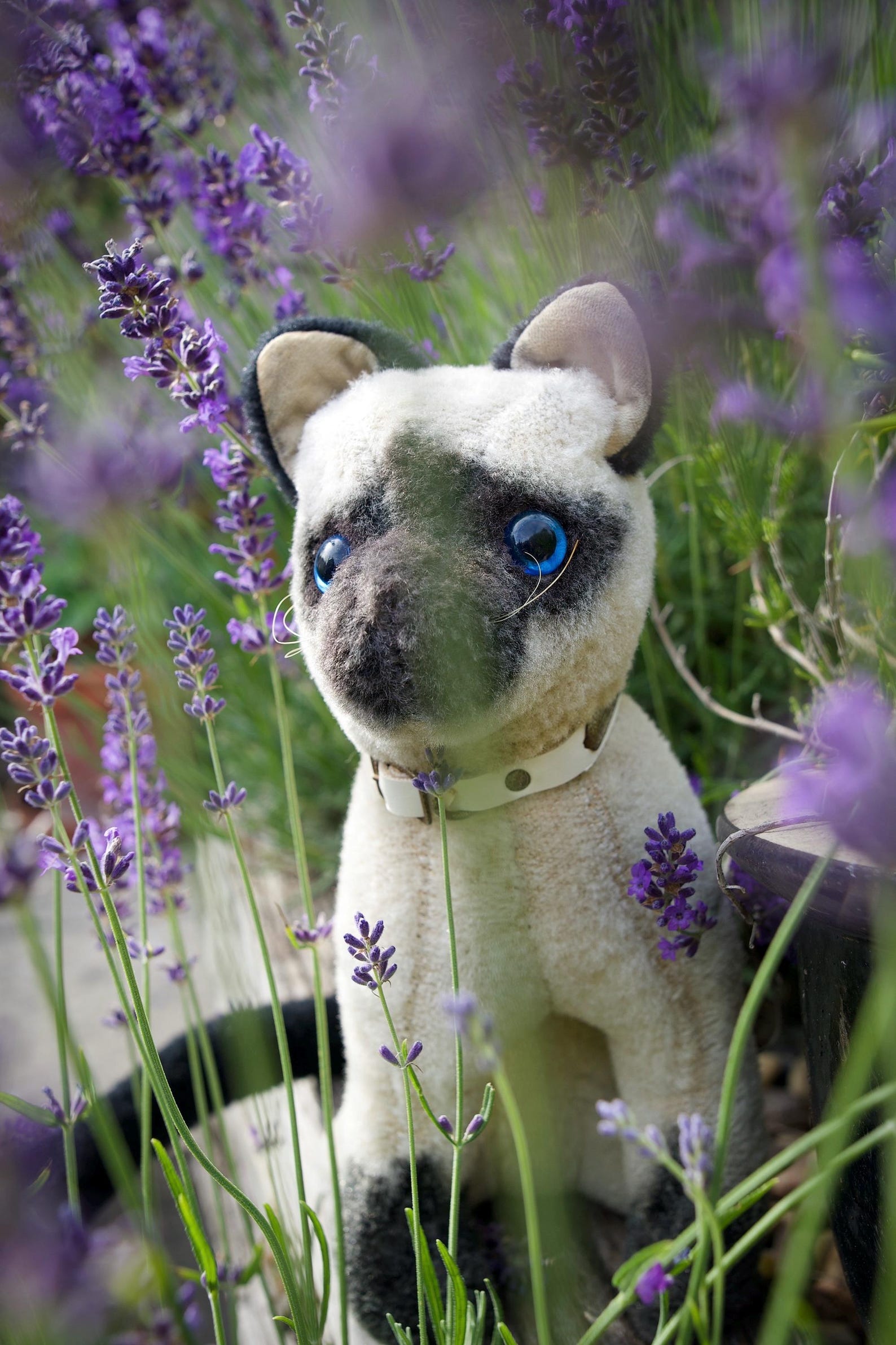 Vintage Merrythought Siamese Cat Plush, 10" Stuffed Animal - Etsy