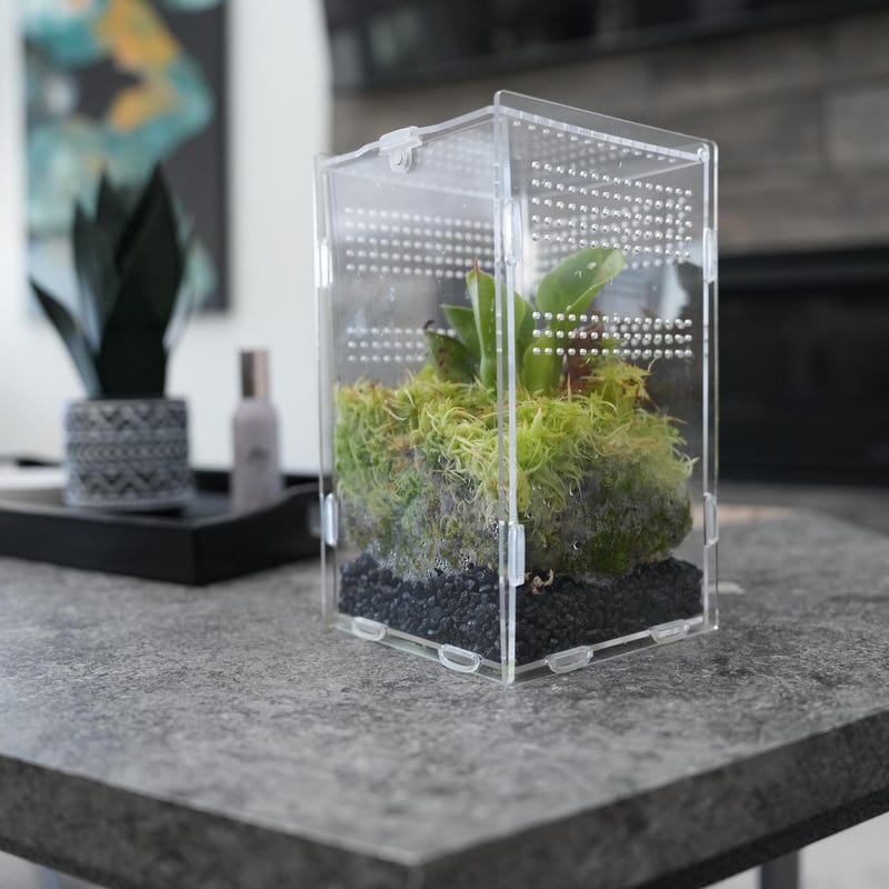Terrarium Kit - Etsy