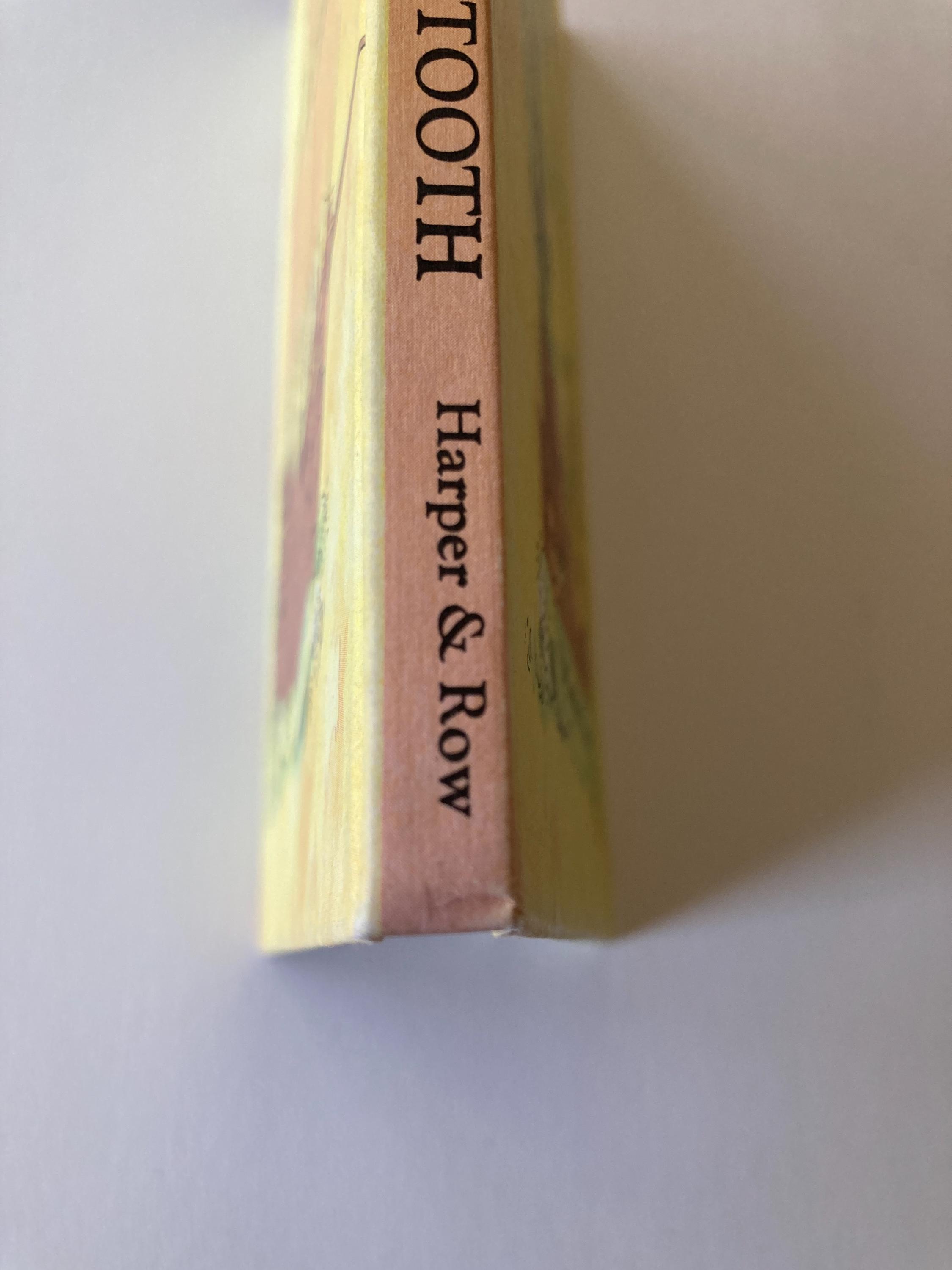 The Alligator and His Uncle Tooth: A Novel of the Sea by Geoffrey Hayes ...