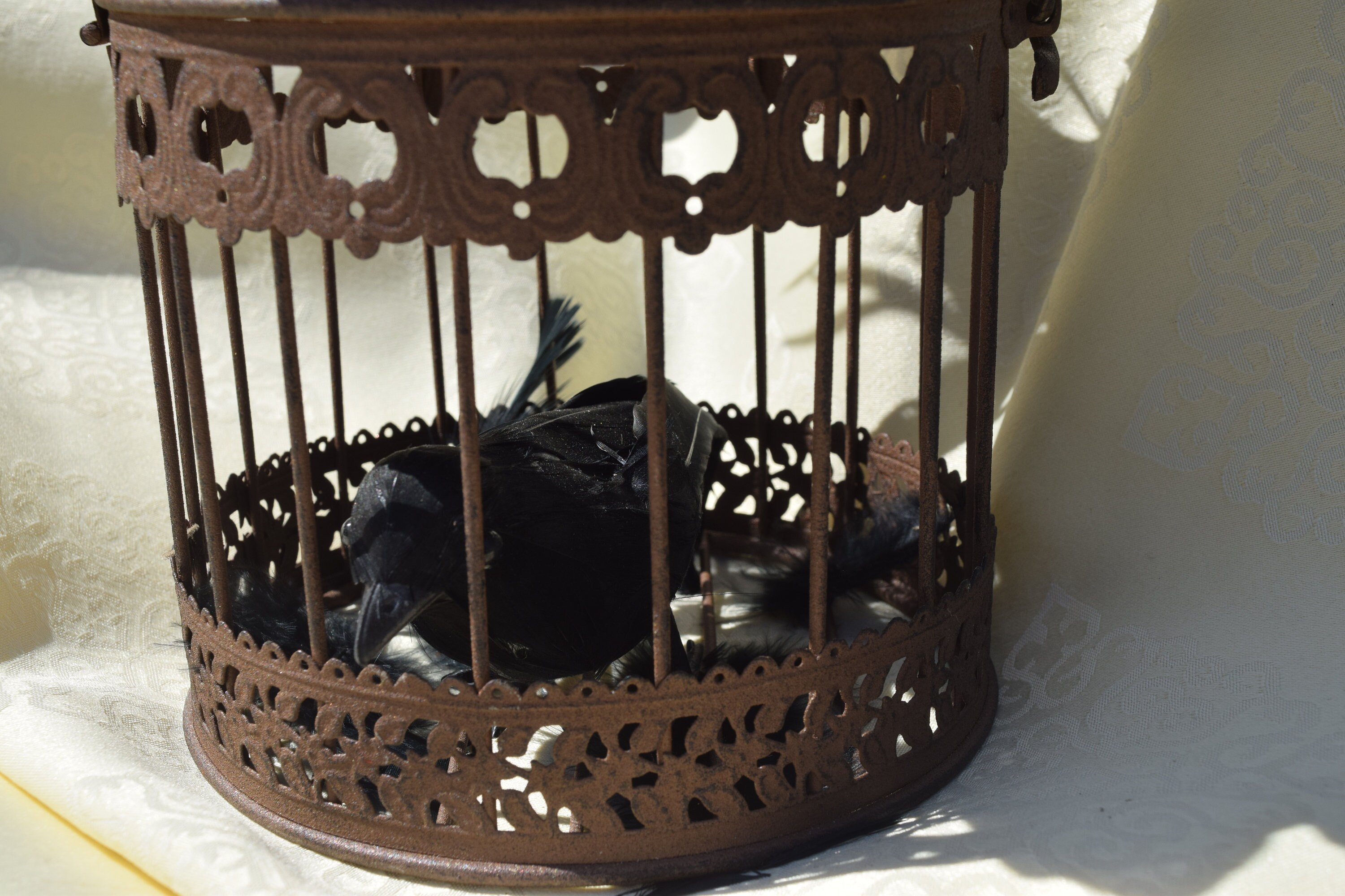 Black Raven in a Bird Cage, Floral Bird Cage, Floral Halloween Decor - Etsy