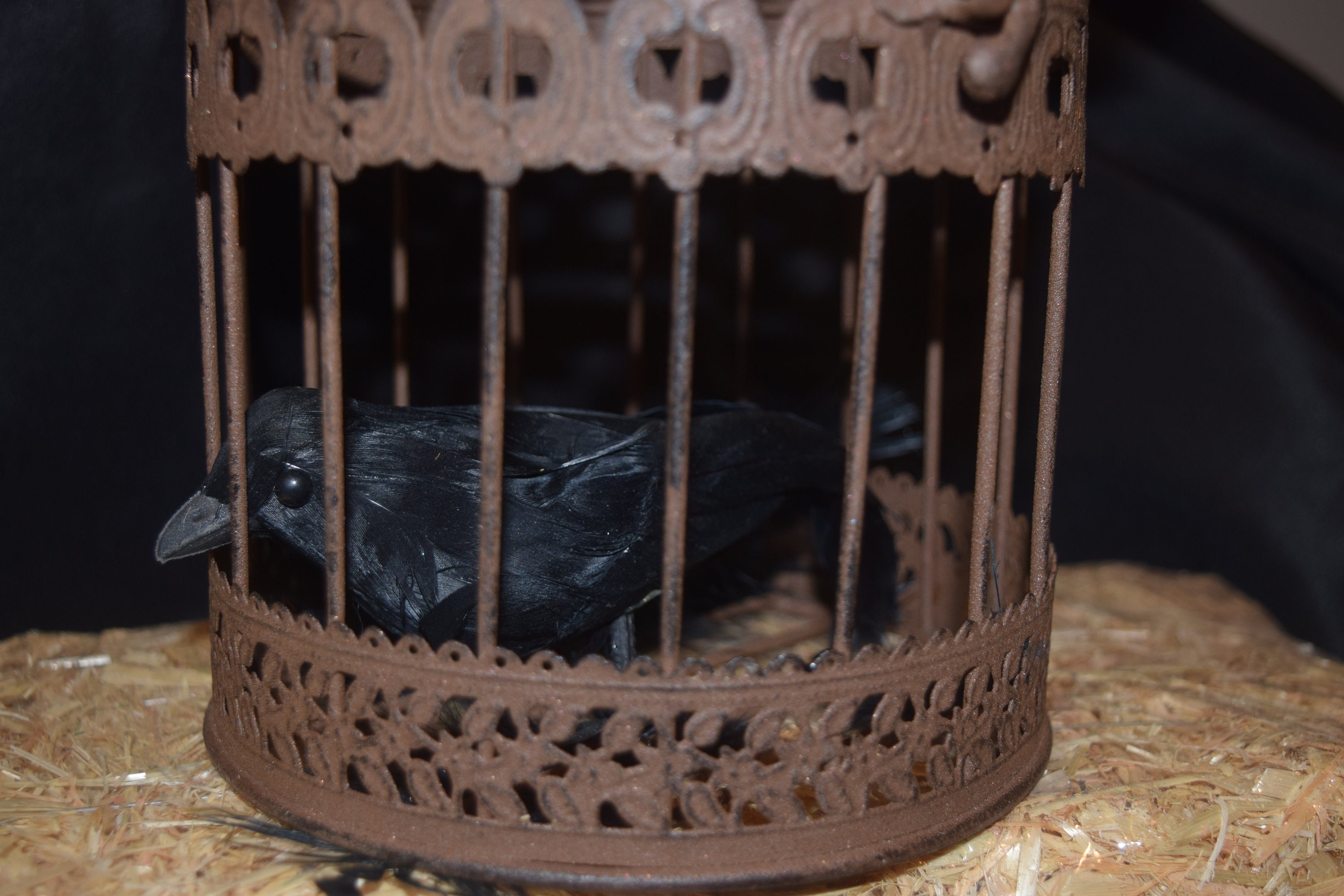Black Raven in a Bird Cage, Floral Bird Cage, Floral Halloween Decor - Etsy