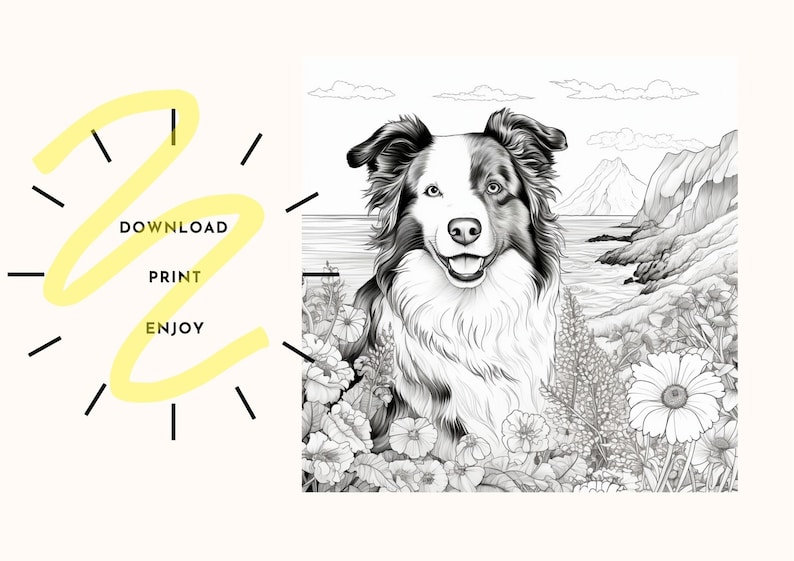 Printable Coloring Pages / Cute Border Collies / Mandala / Fun Activity ...