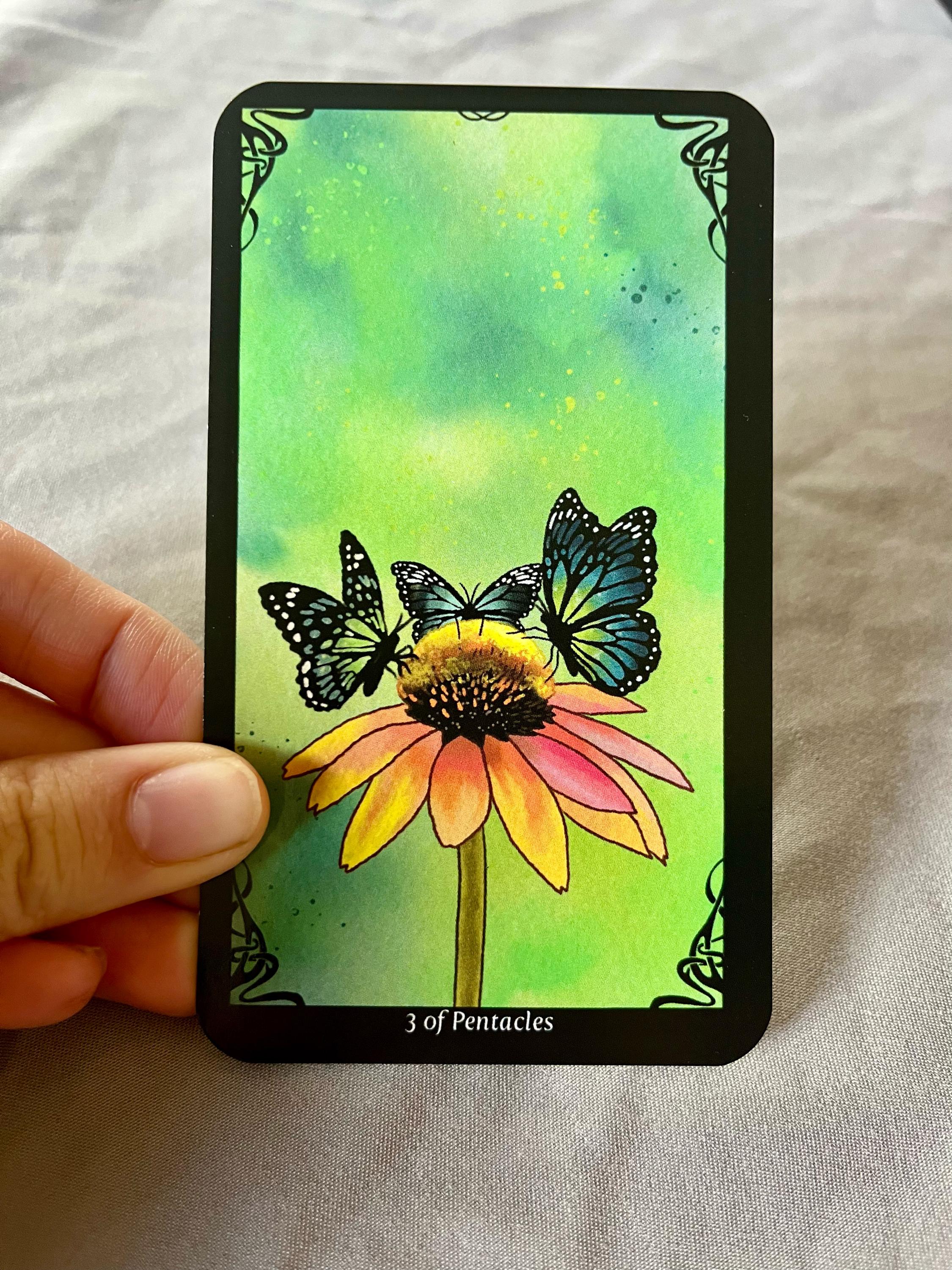Butterfly Tarot Deck | Indie Aesthetic Tarot Cards for Beginners and ...