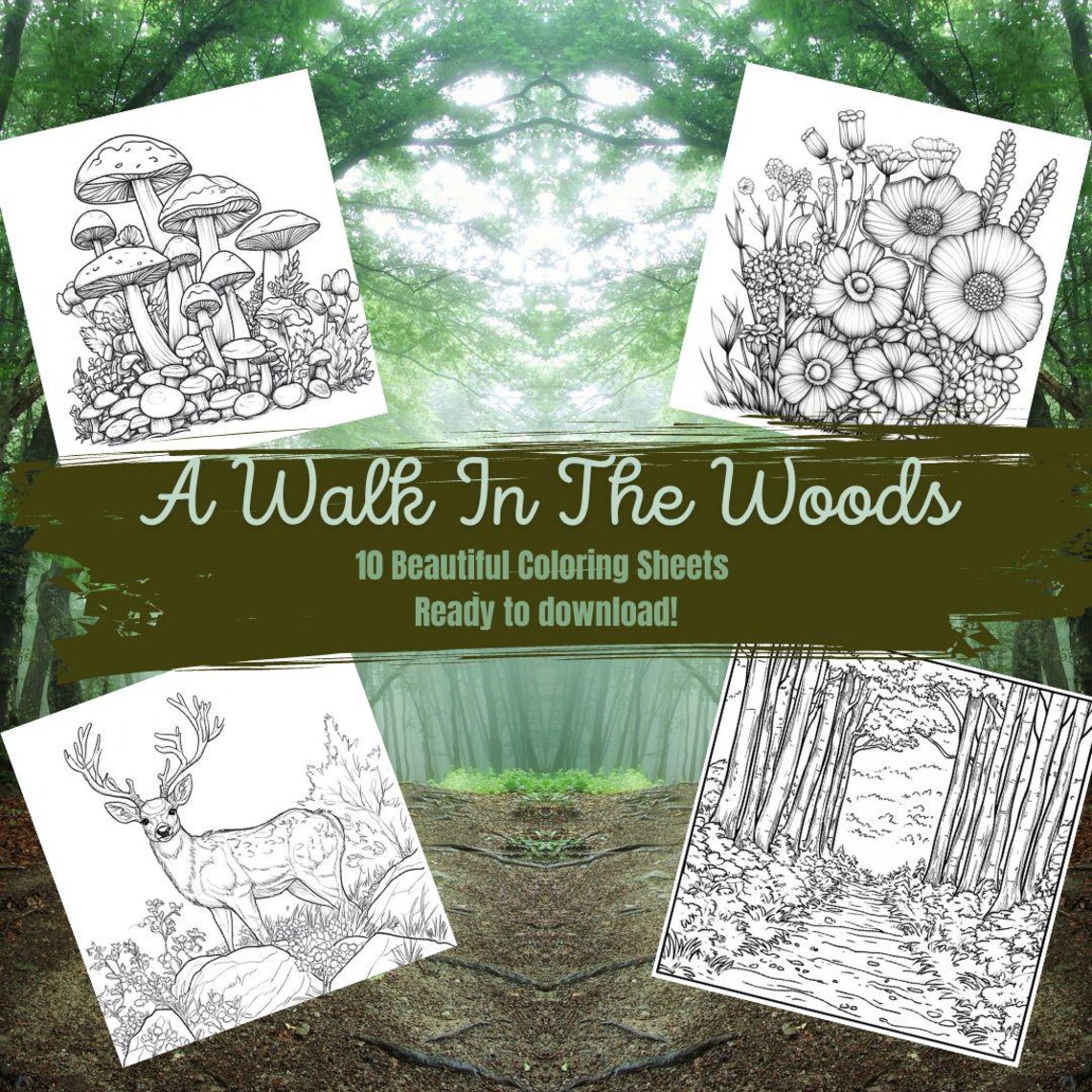 A Walk in the Woods Coloring Sheets - Etsy
