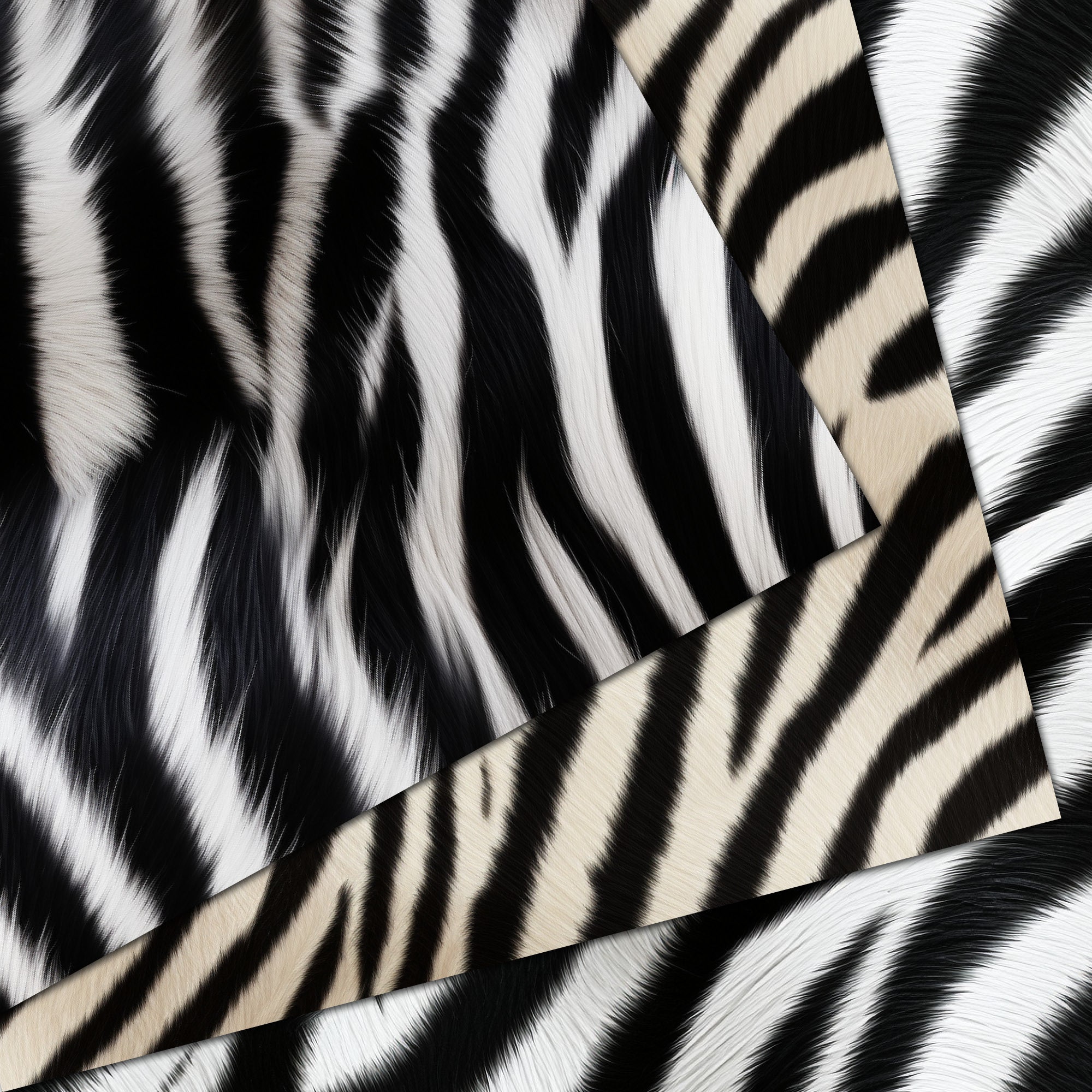 Zebra Striped Digital Paper Set: 20 Seamless Safari Patterns for Arts ...