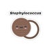 Funny Staphylococcus Aureus Kiss-cut Stickers, Microbiology Joke ...