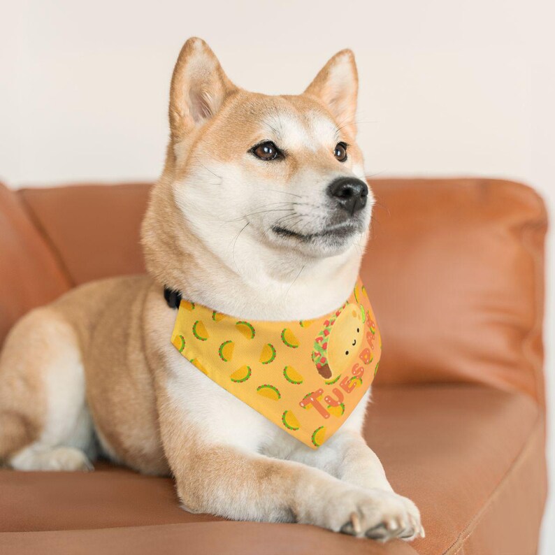 Taco Tuesday Bandana| Pet Bandana Collar - Etsy