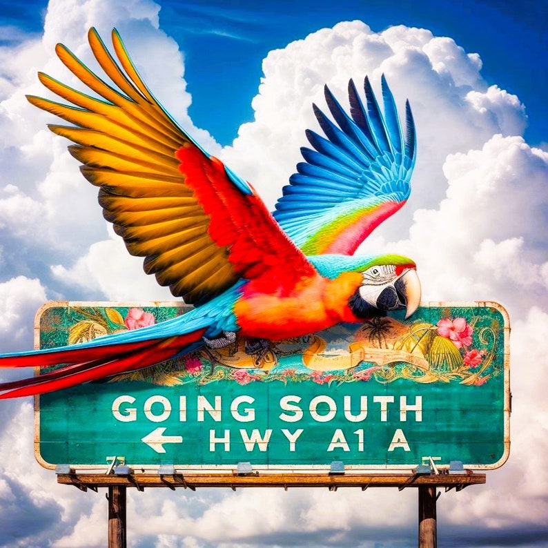 Parrot Flying South on A1A Print - Etsy