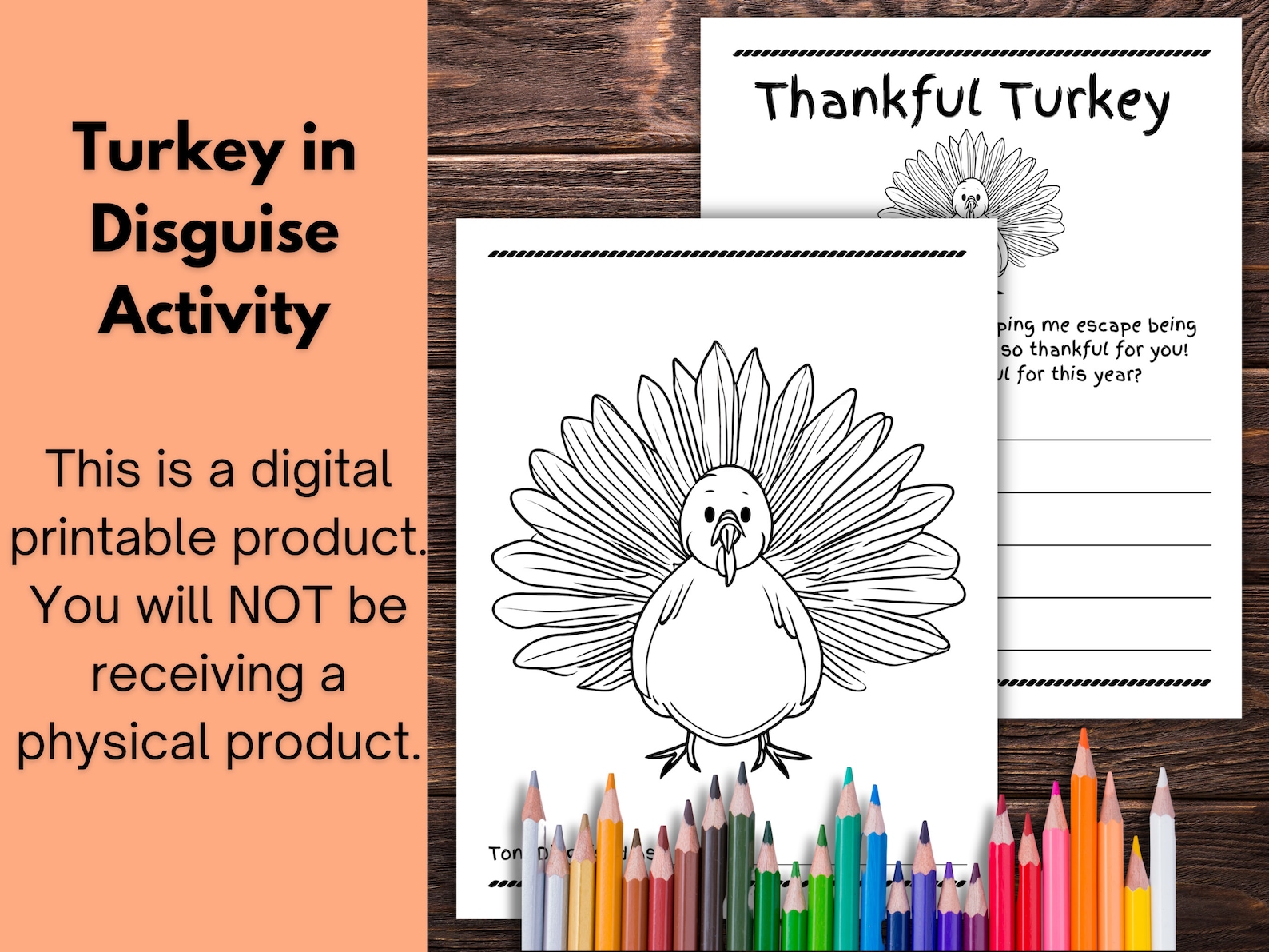 Disguise a Turkey, Turkey in Disguise Thanksgiving Activity, Tom the ...