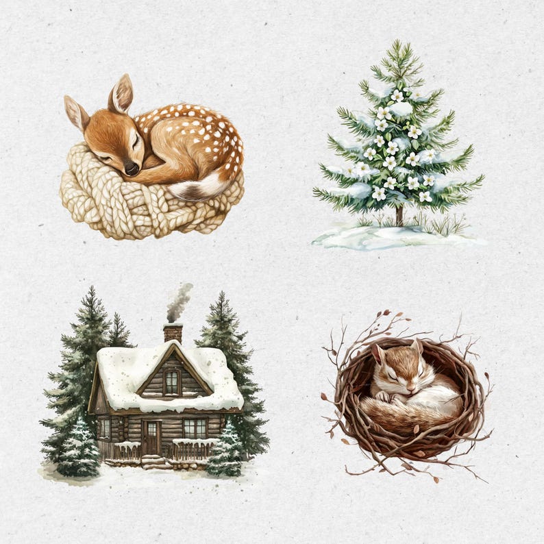Winter Woodland Animals Clipart Png Bundle, Winter Clipart, Boho ...