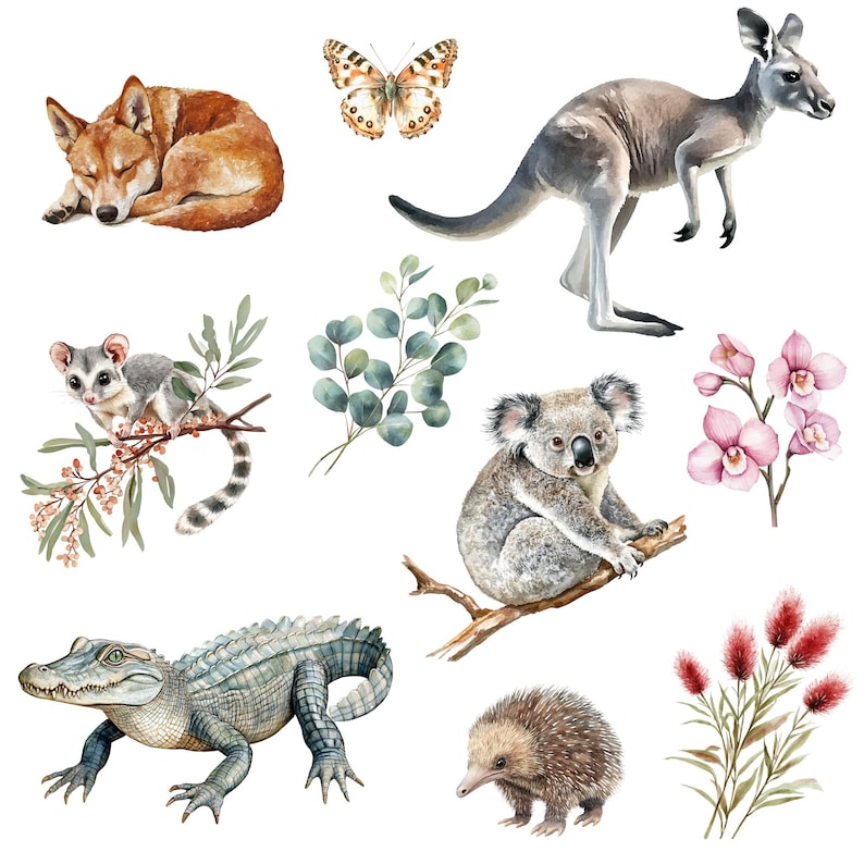 Watercolor Australian Animals Clipart Png Bundle, Cute Animals Clipart ...