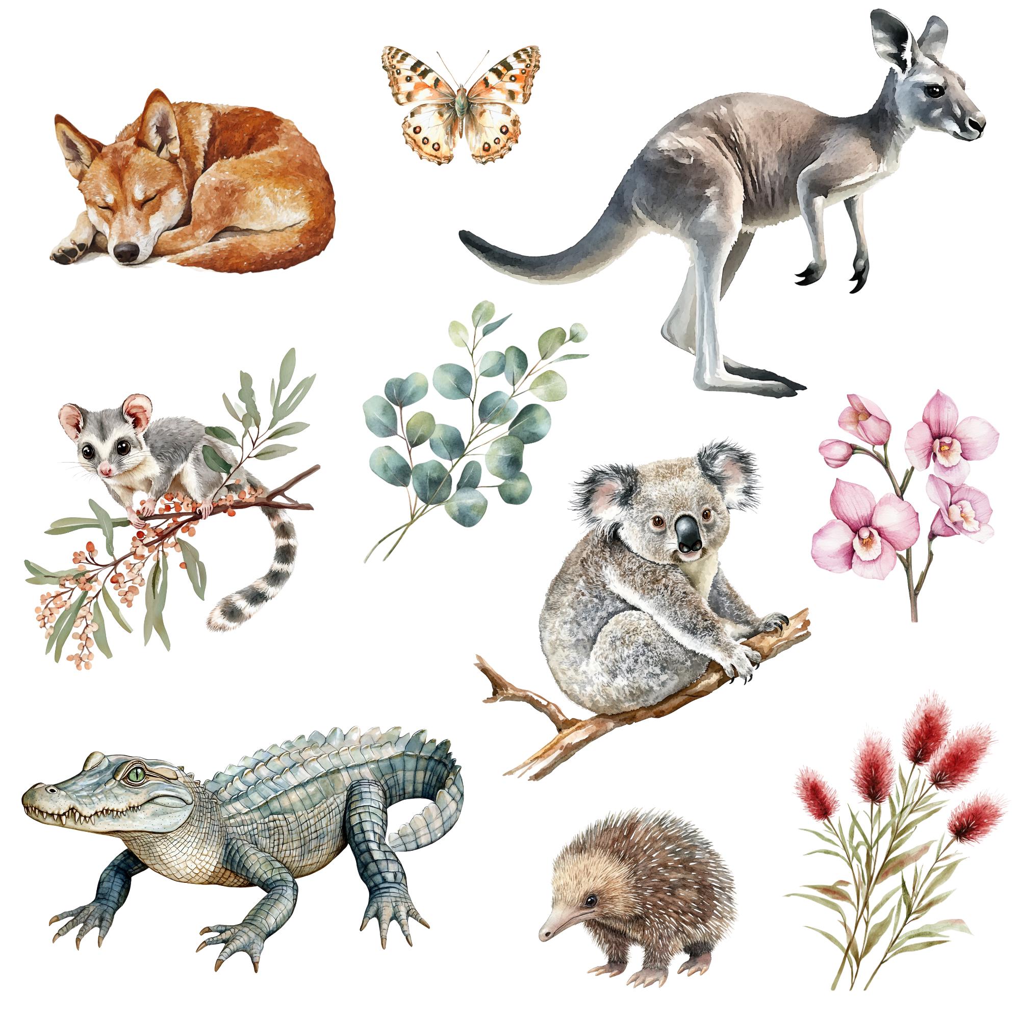 Watercolor Australian Animals Clipart Png Bundle, Cute Animals Clipart ...