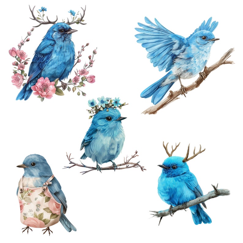 Bluebird Watercolor Clipart Png Bundle, Nursery Art, Cute Bluebird, Ai ...