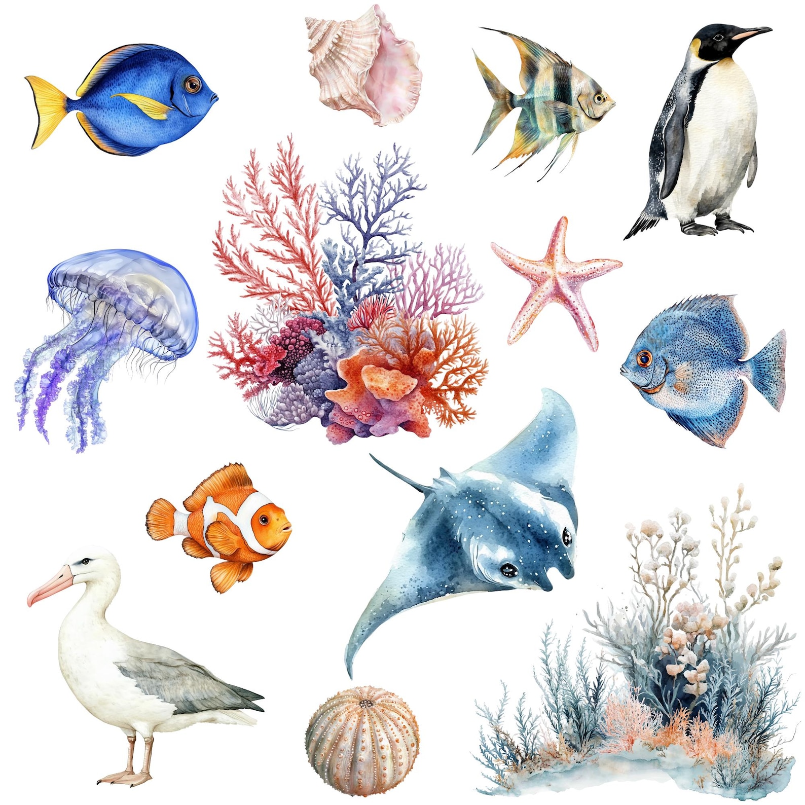 Watercolor Ocean Animals Clipart Png Bundle, Watercolor Ocean Clipart ...