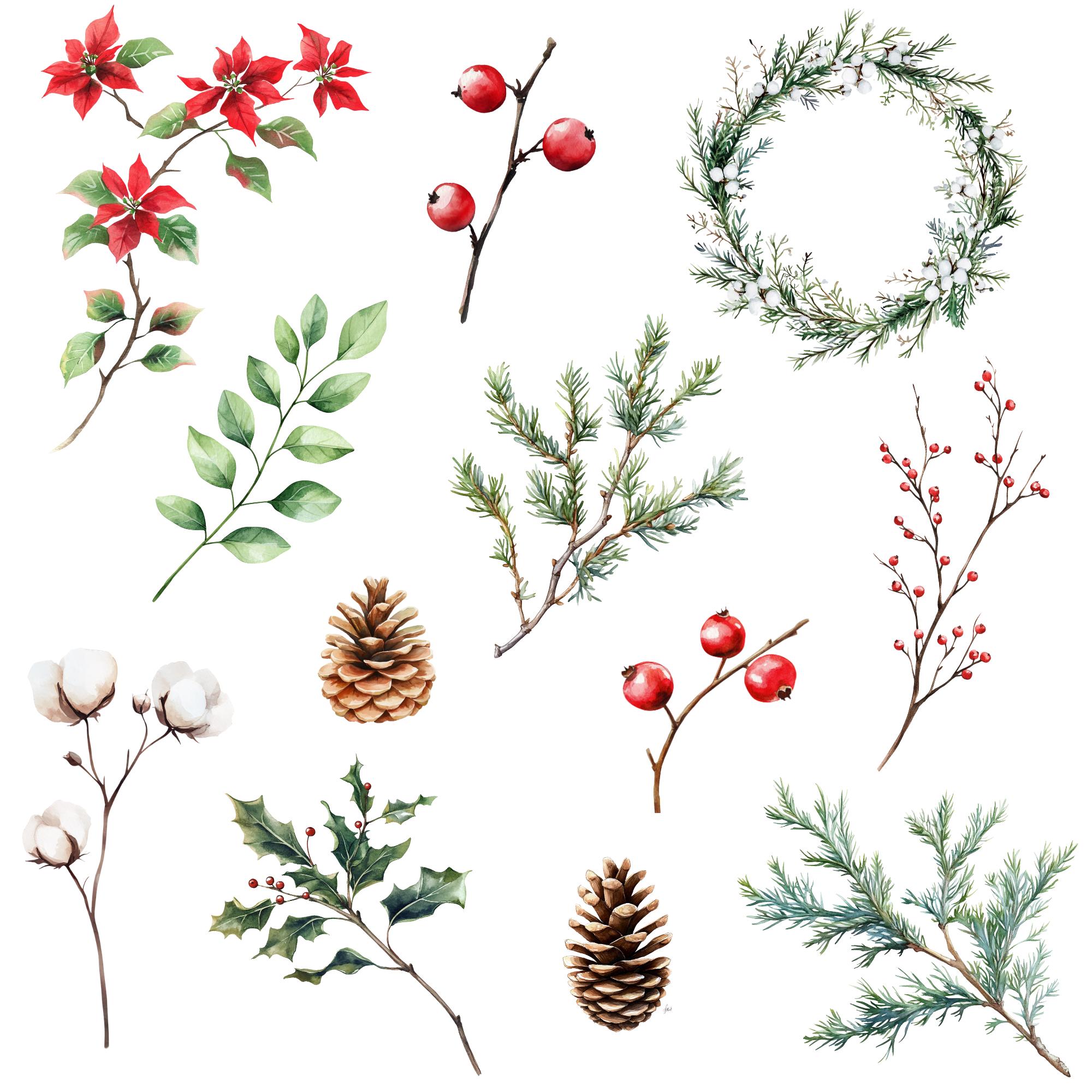 Watercolor Christmas Greenery Clipart Png Bundle, Cozy Winter Greenery ...