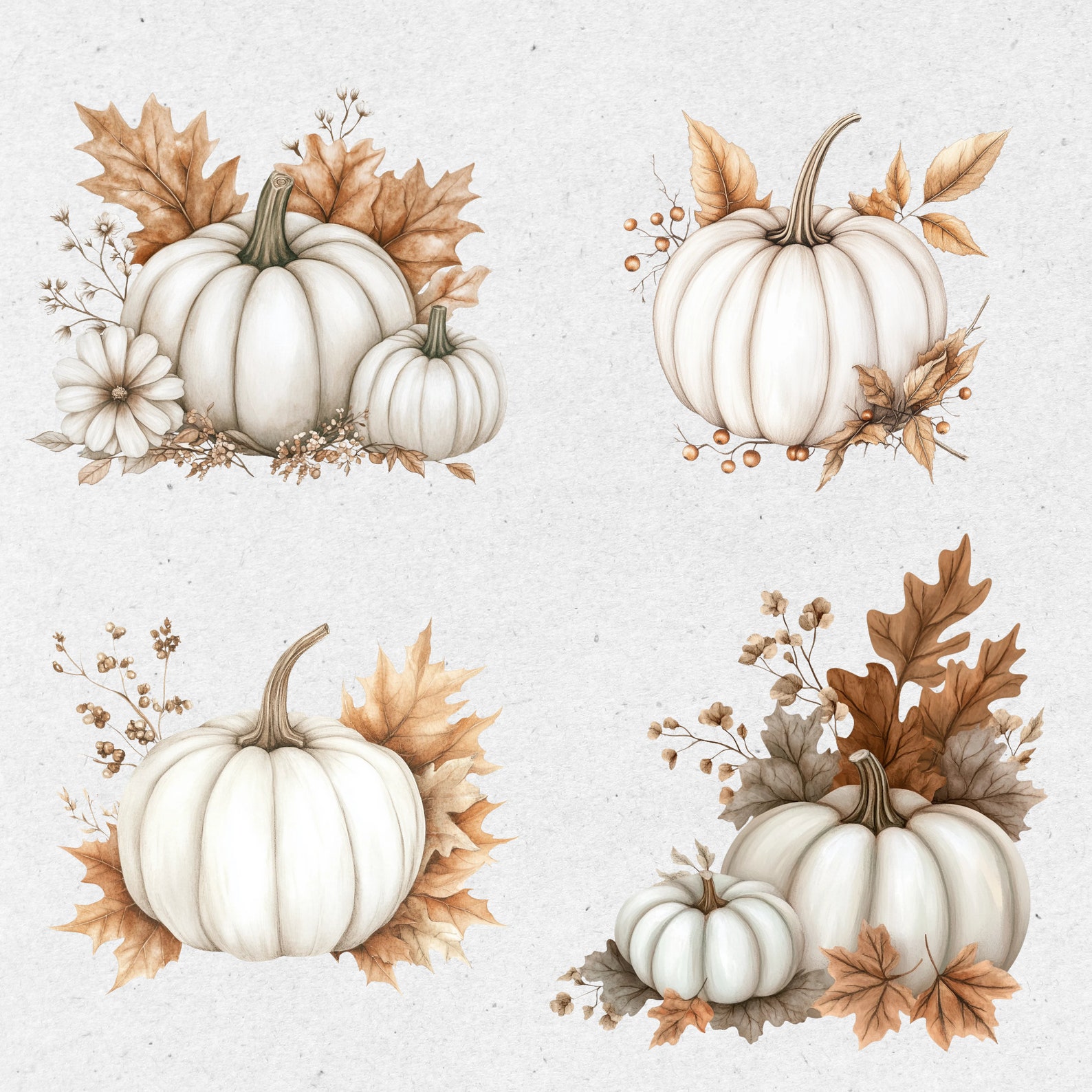 Watercolor Neutral Pumpkin Clipart Png Bundle, White Pumpkin, Neutral ...