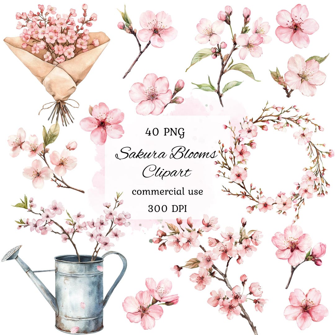 Watercolor Sakura Clipart Png Bundle, Sakura Flowers, Cherry Blossoms ...