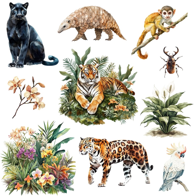 Watercolor Jungle Animals Clipart Png Bundle, Jungle Clipart, Cute ...