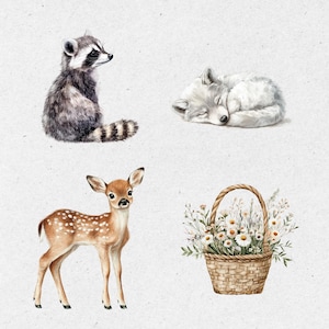 Watercolor Boho Woodland Animals Clipart, Woodland Creatures Clipart ...