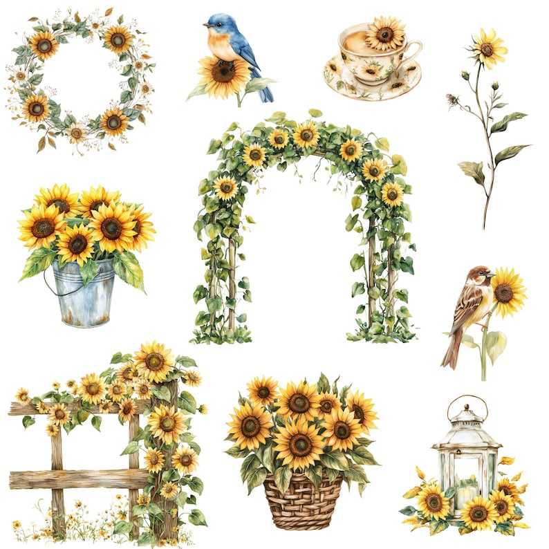 Watercolor Sunflower Garden Clipart Png Bundle, Watercolor Sunflower ...