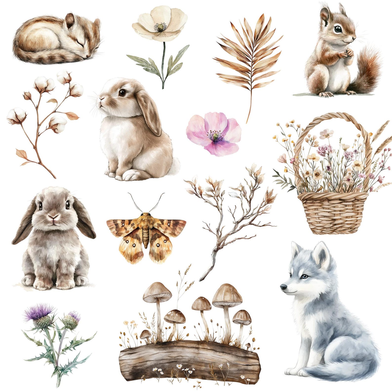 Watercolor Boho Woodland Animals Clipart, Woodland Creatures Clipart ...