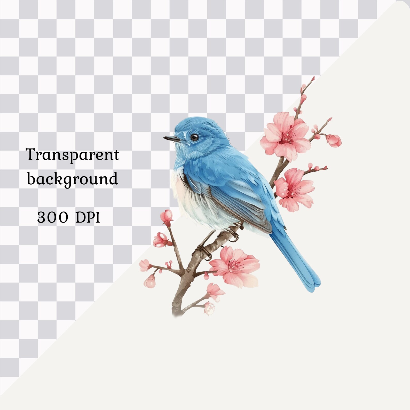 Bluebird Watercolor Clipart Png Bundle, Nursery Art, Cute Bluebird, Ai ...
