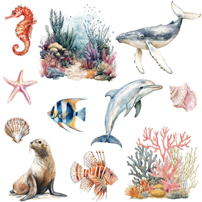 Watercolor Ocean Animals Clipart Png Bundle, Watercolor Ocean Clipart ...