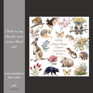 Watercolor Australian Birds Clipart Png Bundle, Australian Animals ...