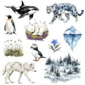 Watercolor Tundra Arctic Animals Clipart Png Bundle, Polar Animals ...