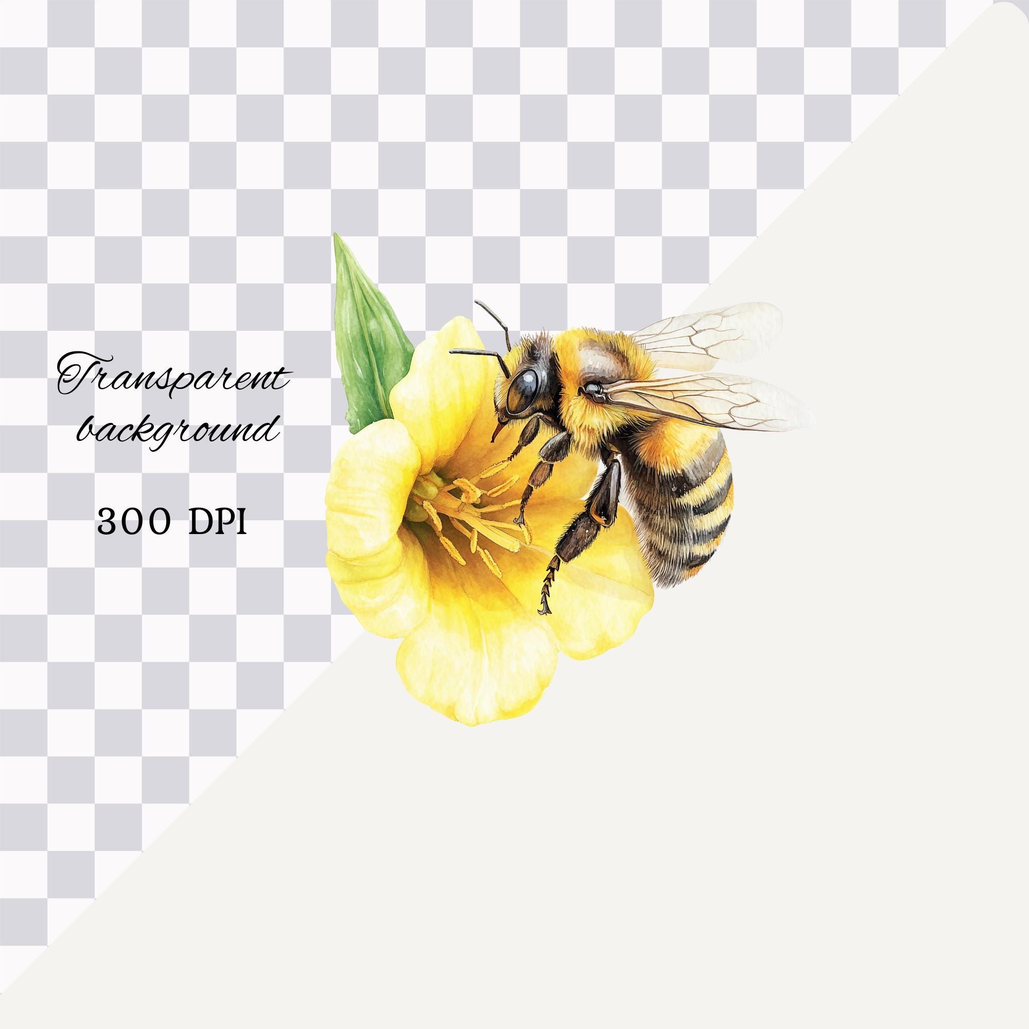 Watercolor Honey Bee Clipart Png Bundle, Bumble Bee Clipart, Bee Hive ...